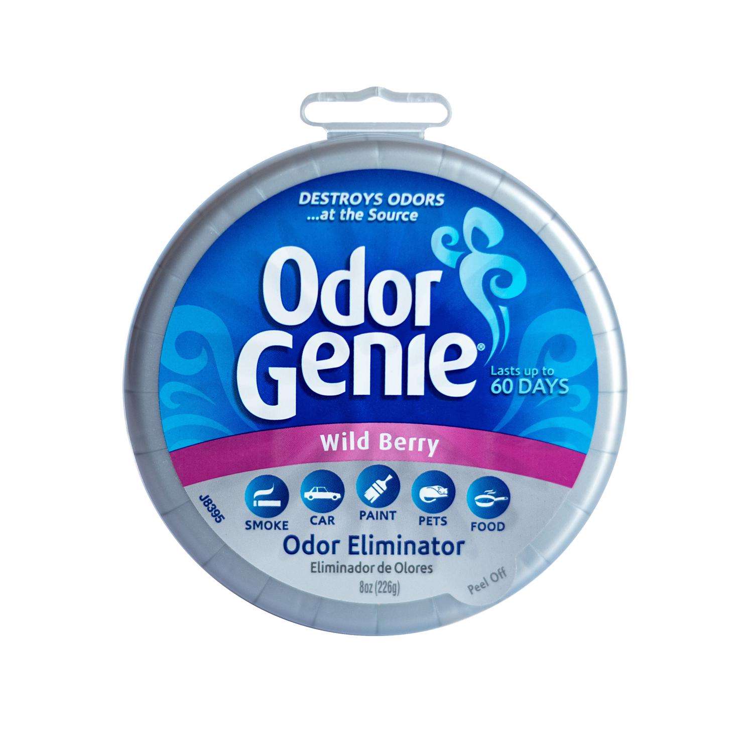 Odor Genie Berry Scent Odor Eliminator 8 oz Gel - Ace Hardware