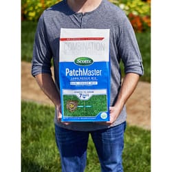 Scotts Grass Seed - Ace Hardware