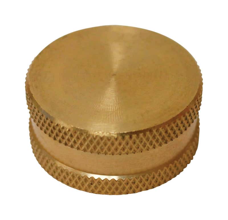 Plumb Pak Brass 3/4 in. D X 3/4 in. D Hose Cap with Washer 1 pk - Ace ...