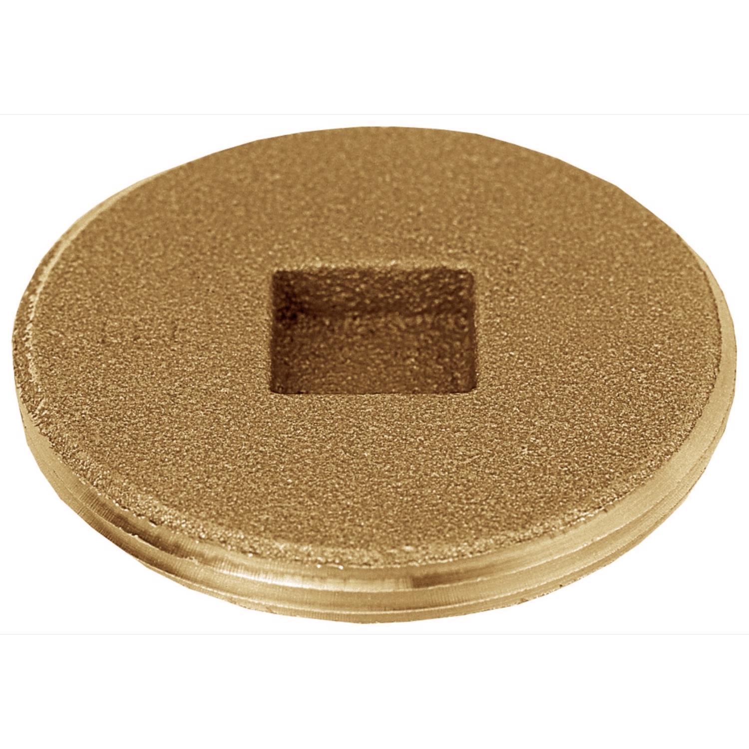 Sioux Chief 2-1/2 in. MPT Brass Counter Sunk Plug - Ace Hardware
