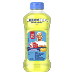 Mr. Clean - Ace Hardware