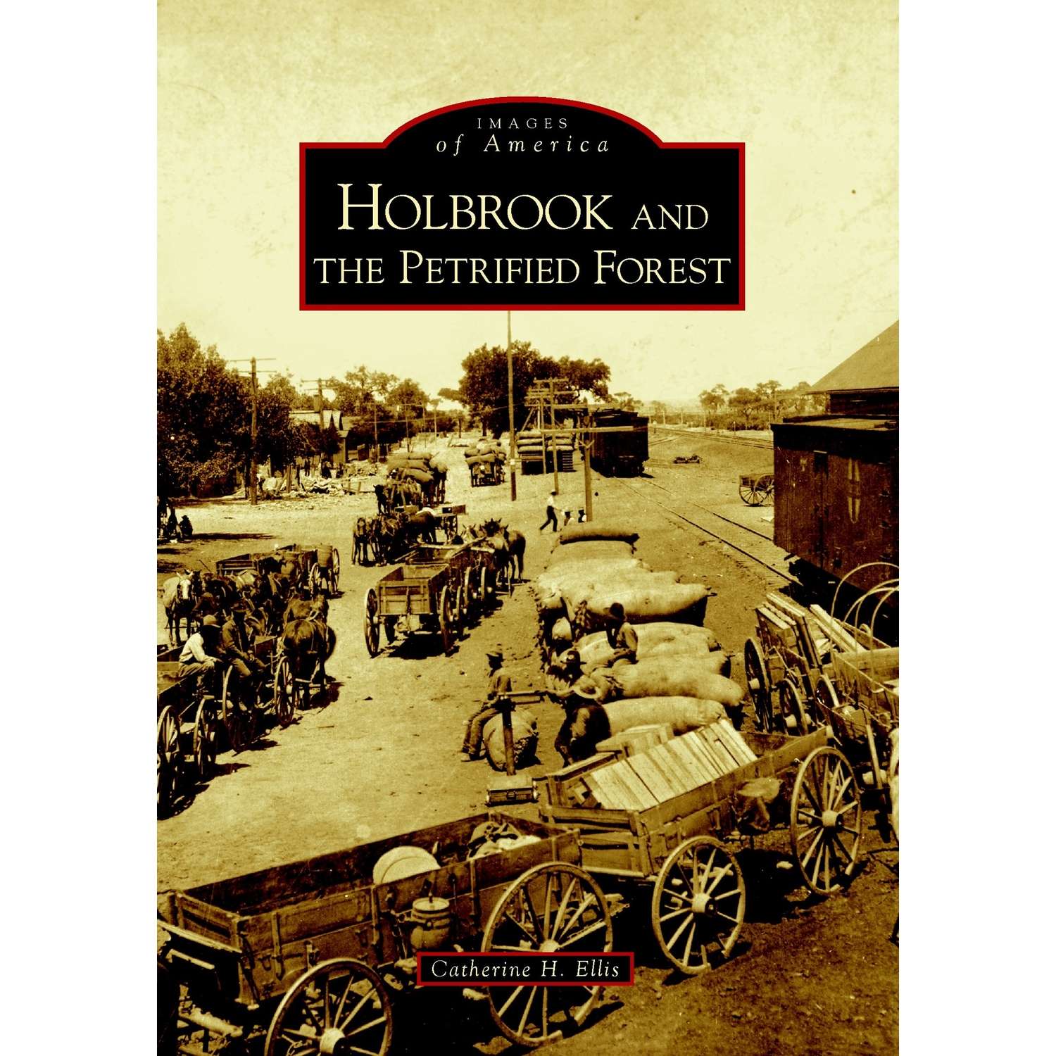 Arcadia Publishing Holbrook and the Petrified Forest History Book - Ace ...