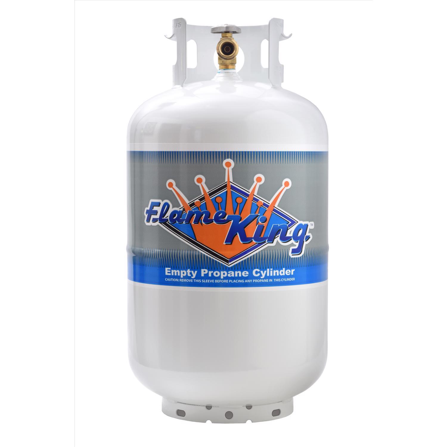 Ace 16 oz Steel Propane Fuel Cylinder Mfr 309928 Ace Hardware