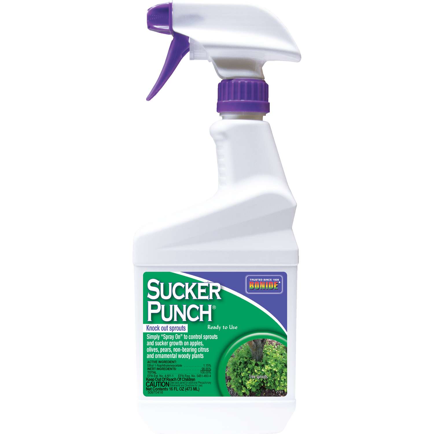 Bonide Sucker Punch Tree Roots Killer RTU Liquid 16 oz - Ace Hardware