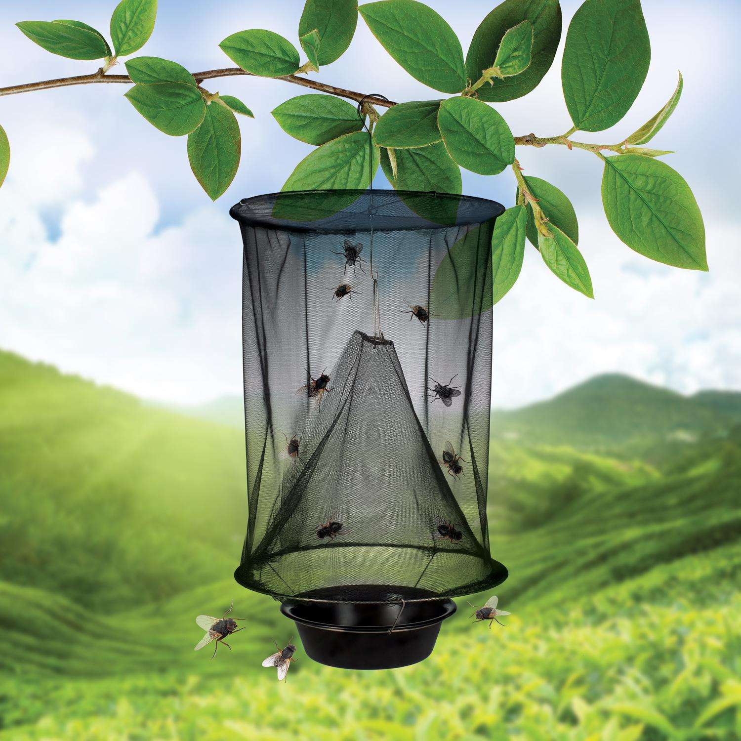 Magic Mesh Hanging Insect Trap Mesh/Plastic/Stainless 1 pk - Ace Hardware