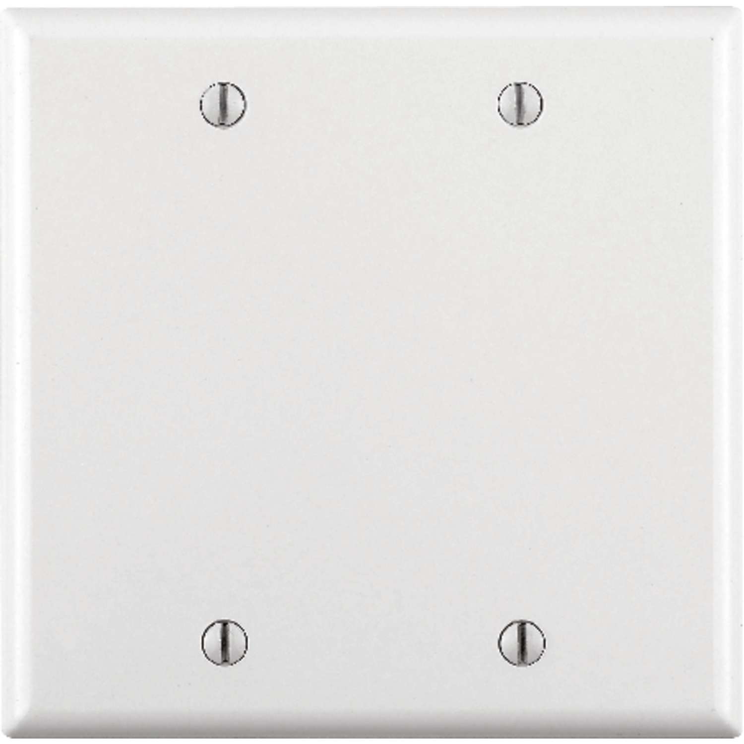 Leviton White 2 gang Plastic Blank Wall Plate Cover 1 pk - Ace Hardware