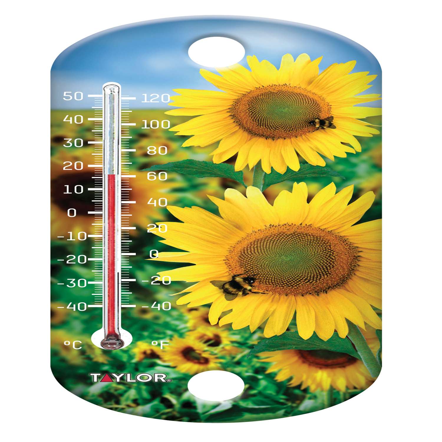 Taylor Sunflower Tube Thermometer Plastic Multicolored 8 in. - Ace Hardware