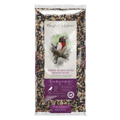 Audubon Park Songbird Selections Finches Fruits And Nuts Wild Bird Food ...