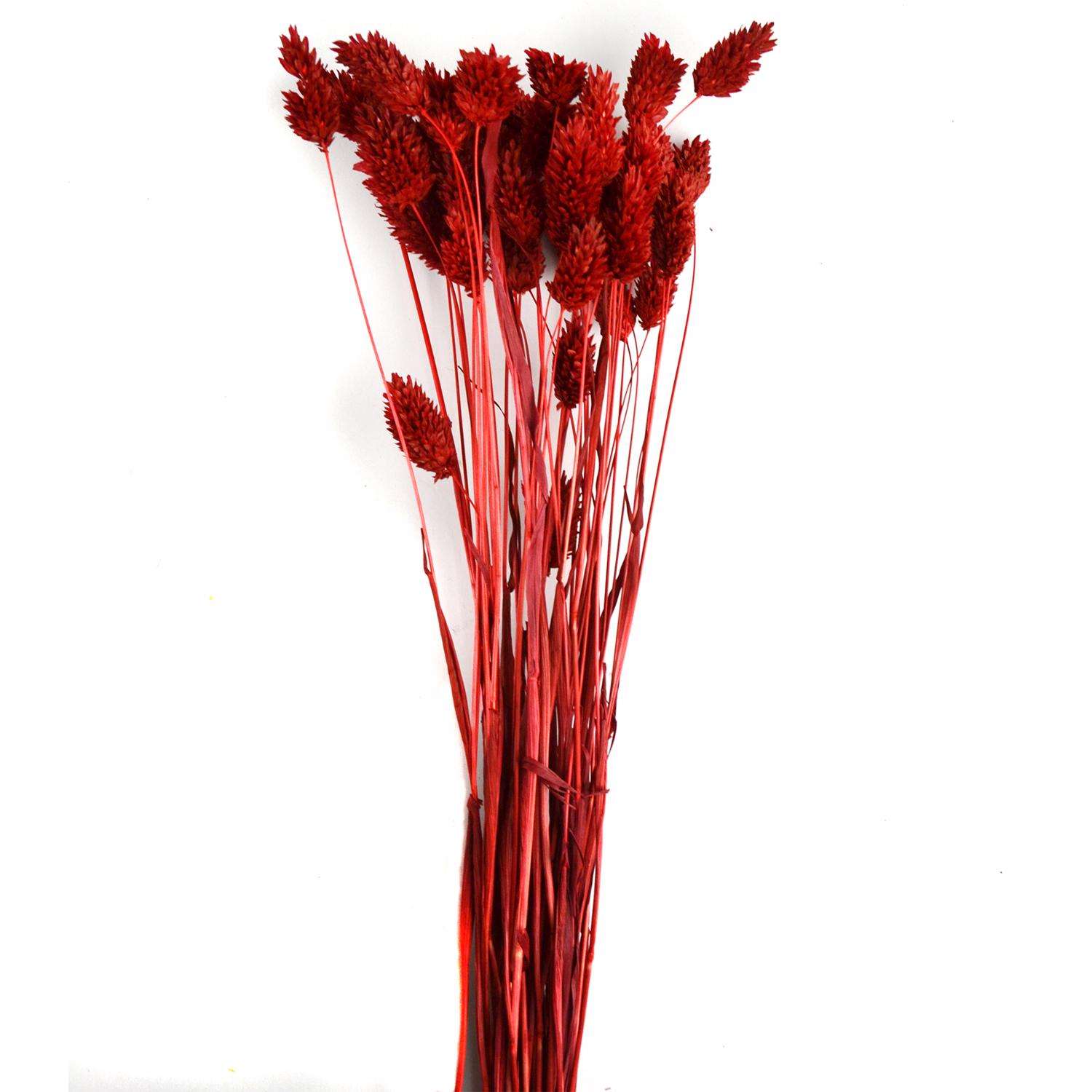 Touch of Nature 25 in. H X 5 in. W X 5 in. L Deep Red Wood Poa - Ace ...