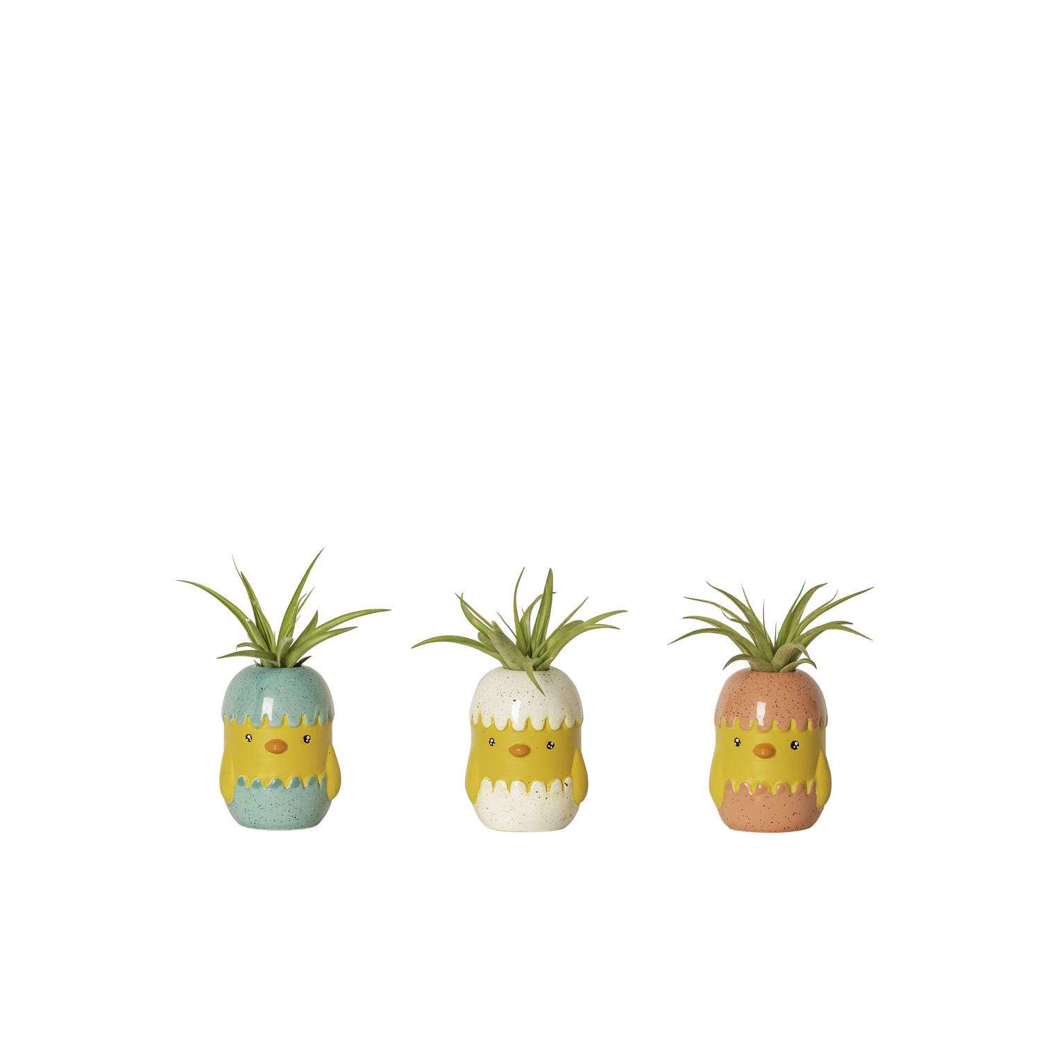 LiveTrends Decorative Planter Plant - Ace Hardware