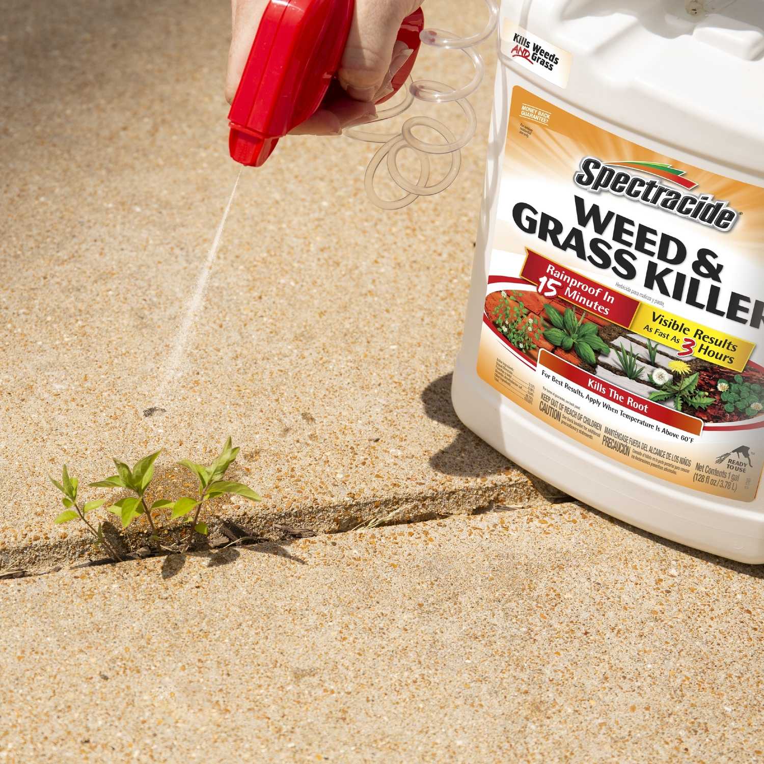Spectracide Weed and Grass Killer RTU Liquid 1 gal. - Ace Hardware