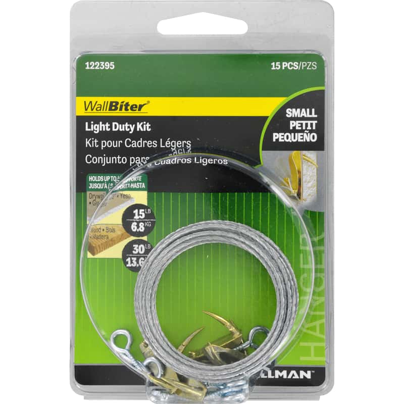 Hillman WallBiter Brass-Plated Silver Light Duty Picture Hook Kit 30 lb ...