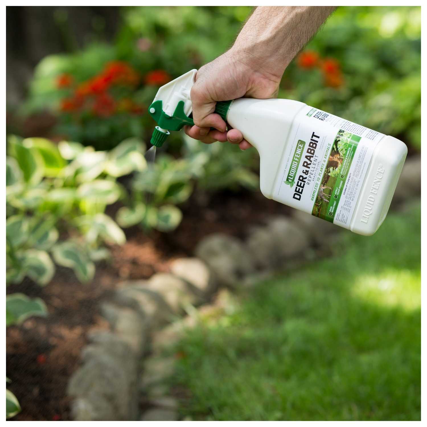 Liquid Fence Animal Repellent Spray For Deer and Rabbits 32 oz. - Ace ...