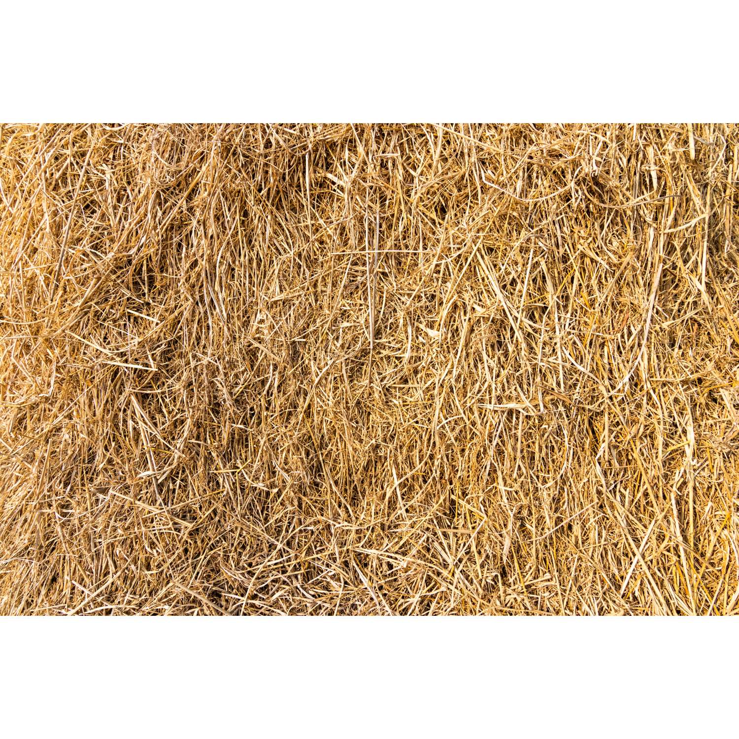 Locally Sourced Straw Bale - Ace Hardware