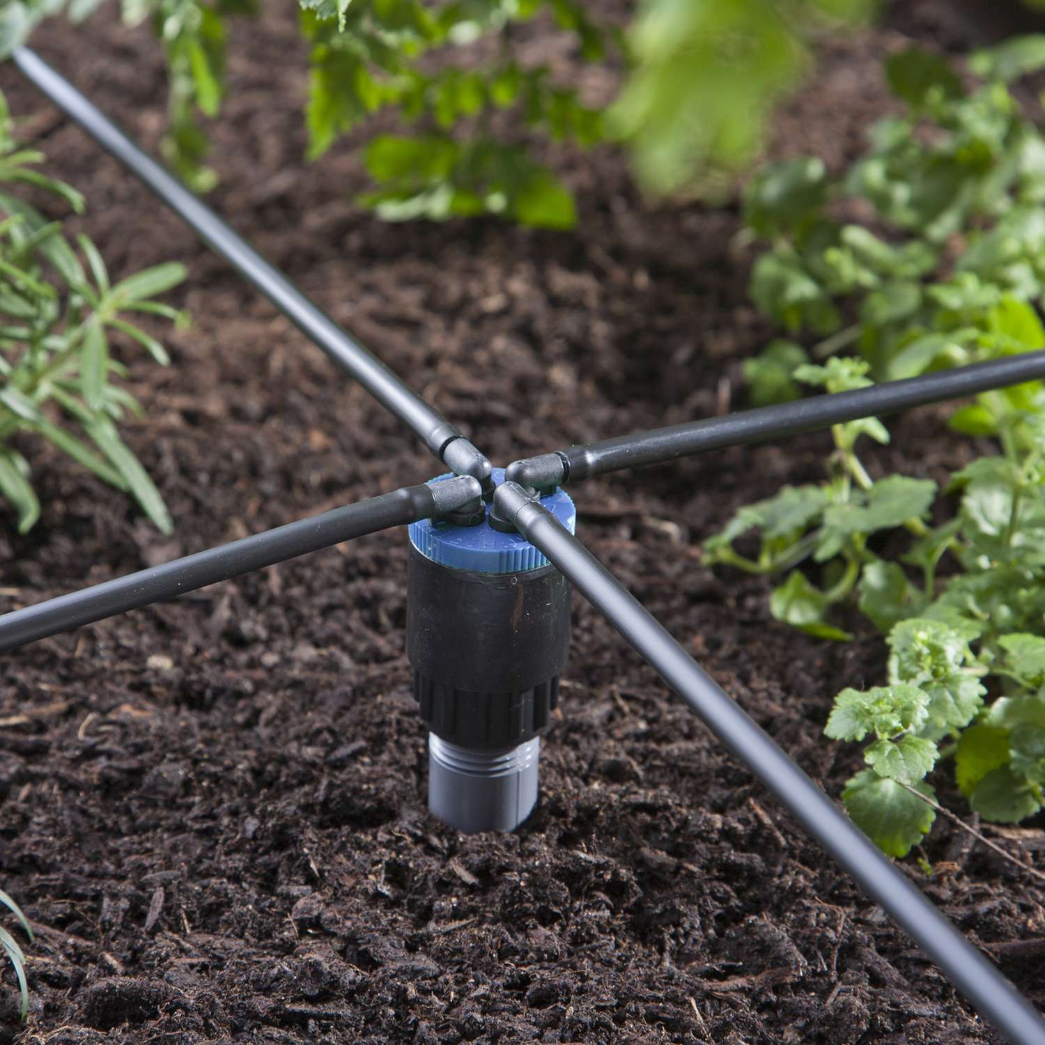 Raindrip Drip Irrigation Bubbler - Ace Hardware