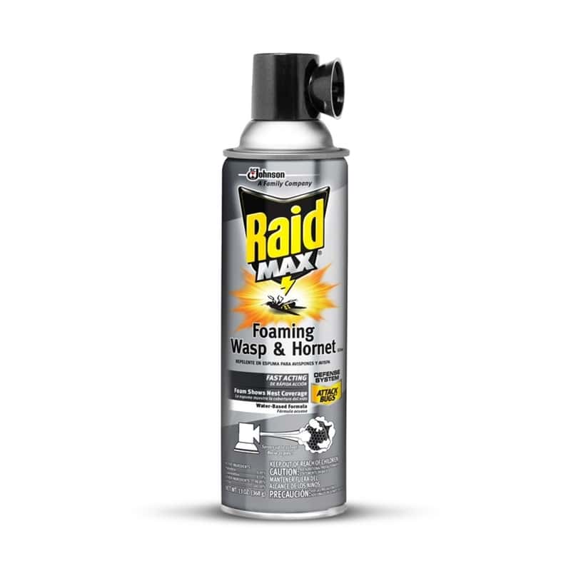 Raid MAX Insect Killer Foam 13 oz - Ace Hardware