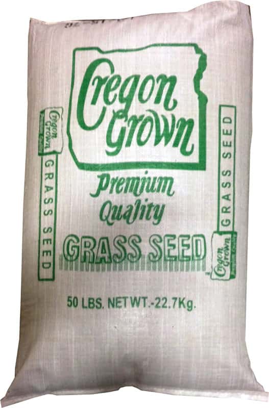 Barenbrug Oregon Grown Annual Ryegrass Partial Shade/Sun Grass Seed 50 ...