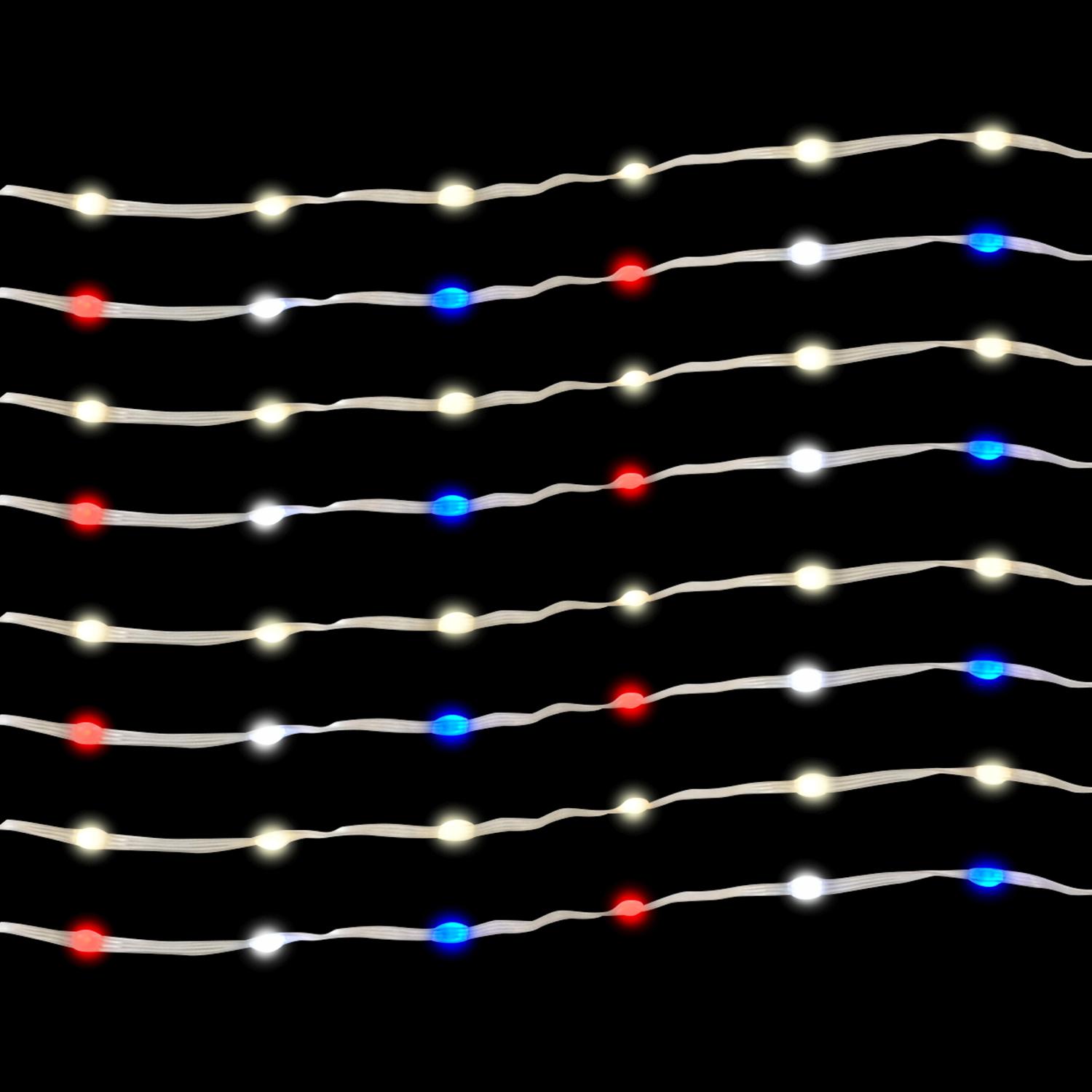 Living Accents LED Big Seed Cluster Cluster Light Set Multicolored 14.4 ...