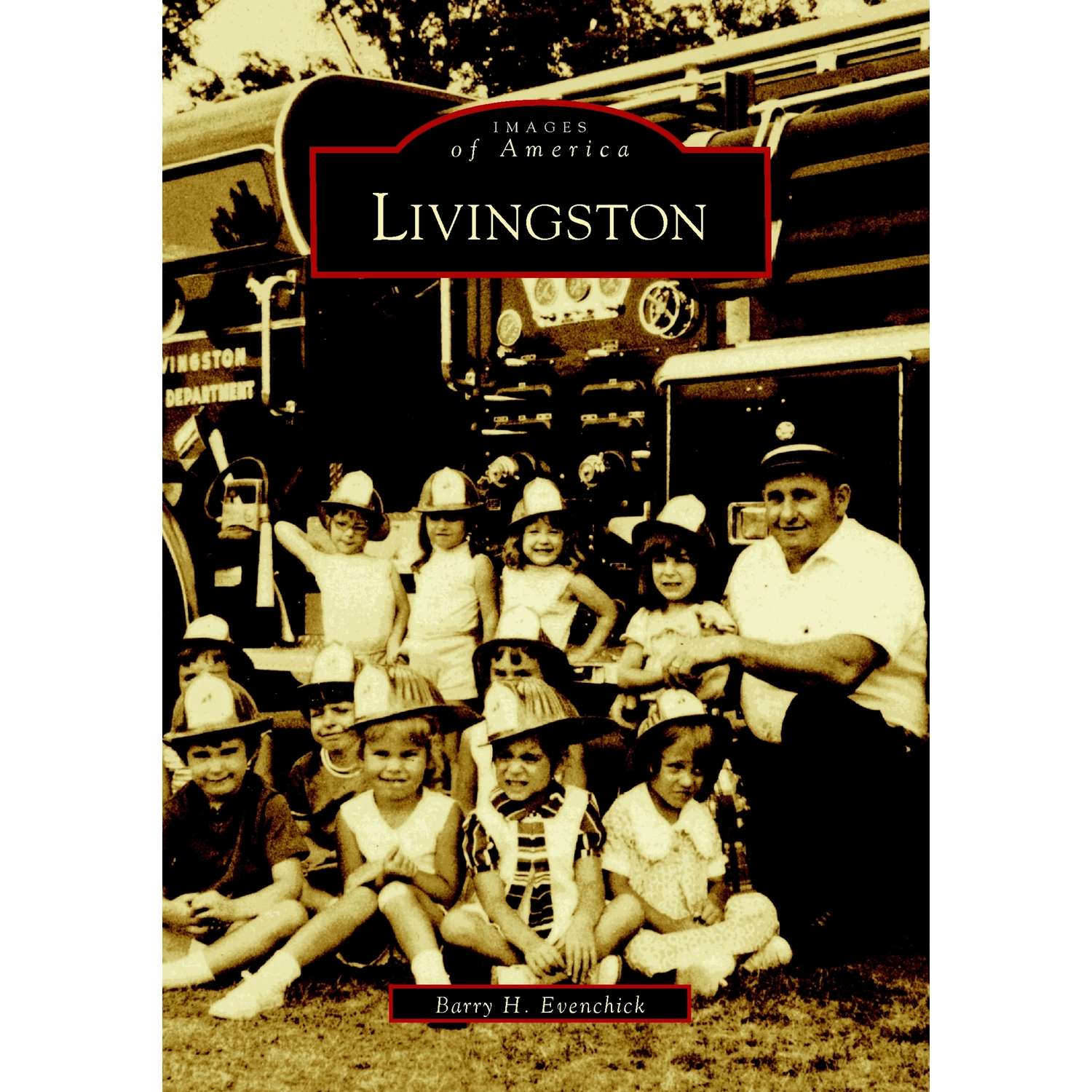 Arcadia Publishing Livingston History Book - Ace Hardware