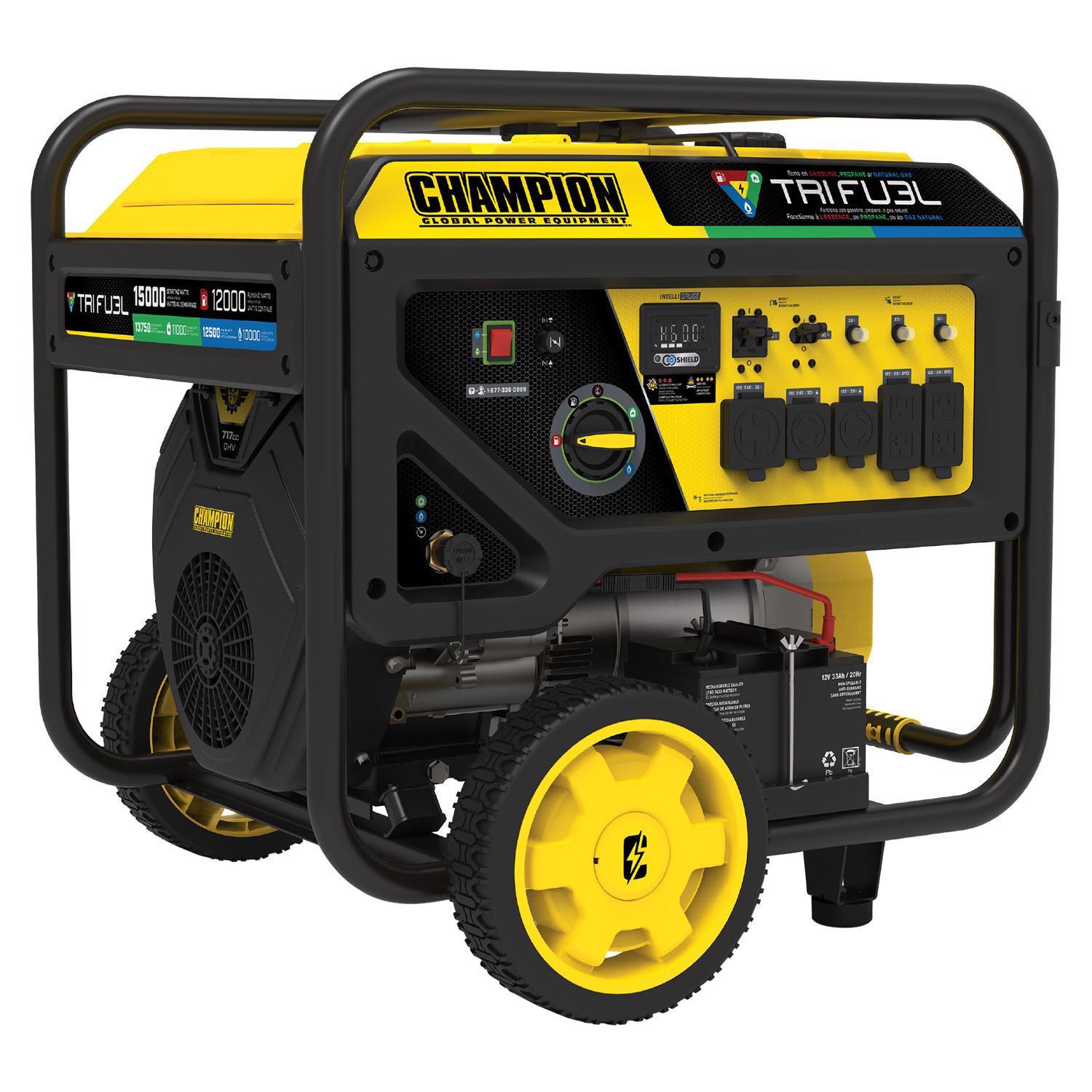 Champion 12000 W 240 V Gasoline or Propane Portable Generator - Ace ...