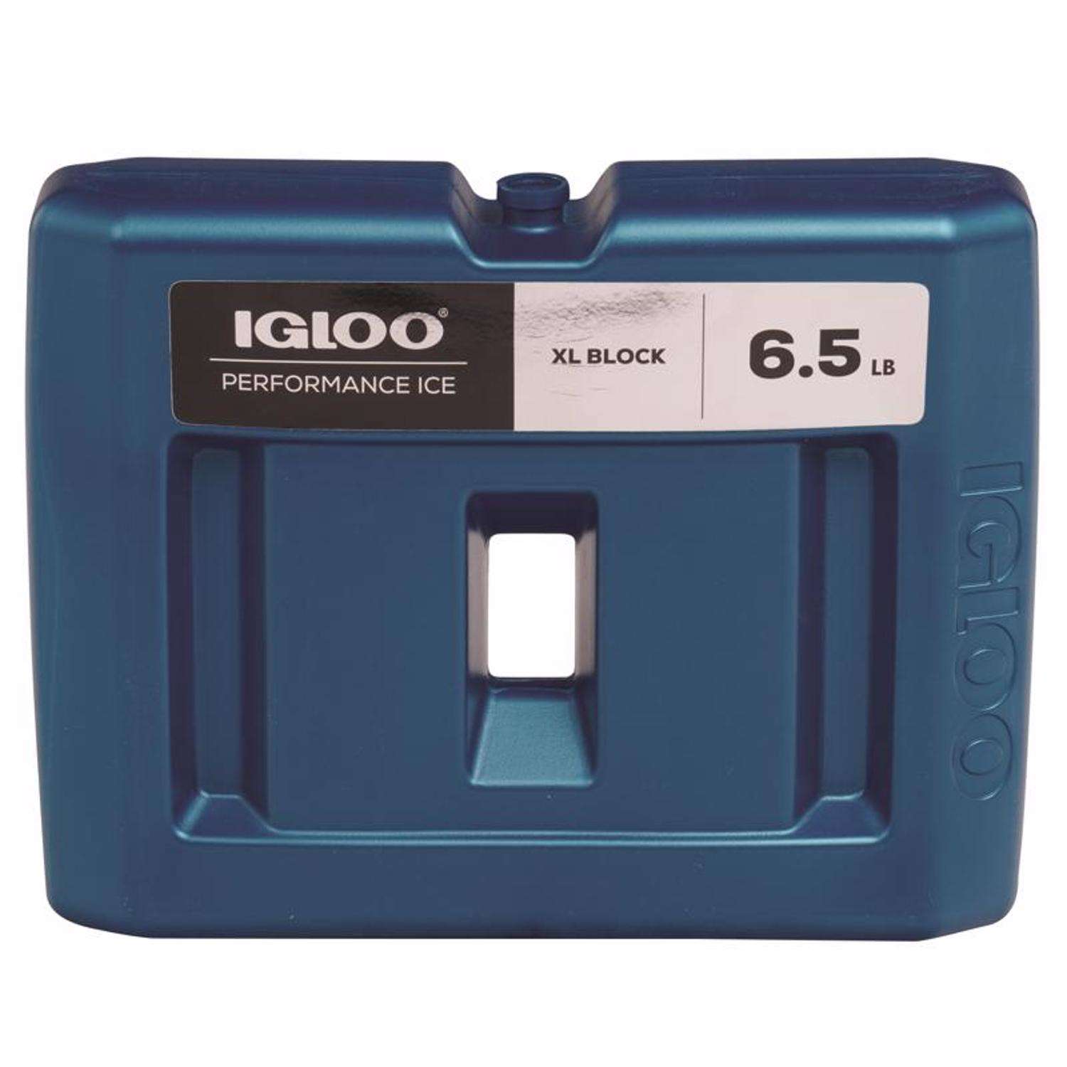 Igloo Freezer Block 6.5 lb Blue 1 pk - Ace Hardware