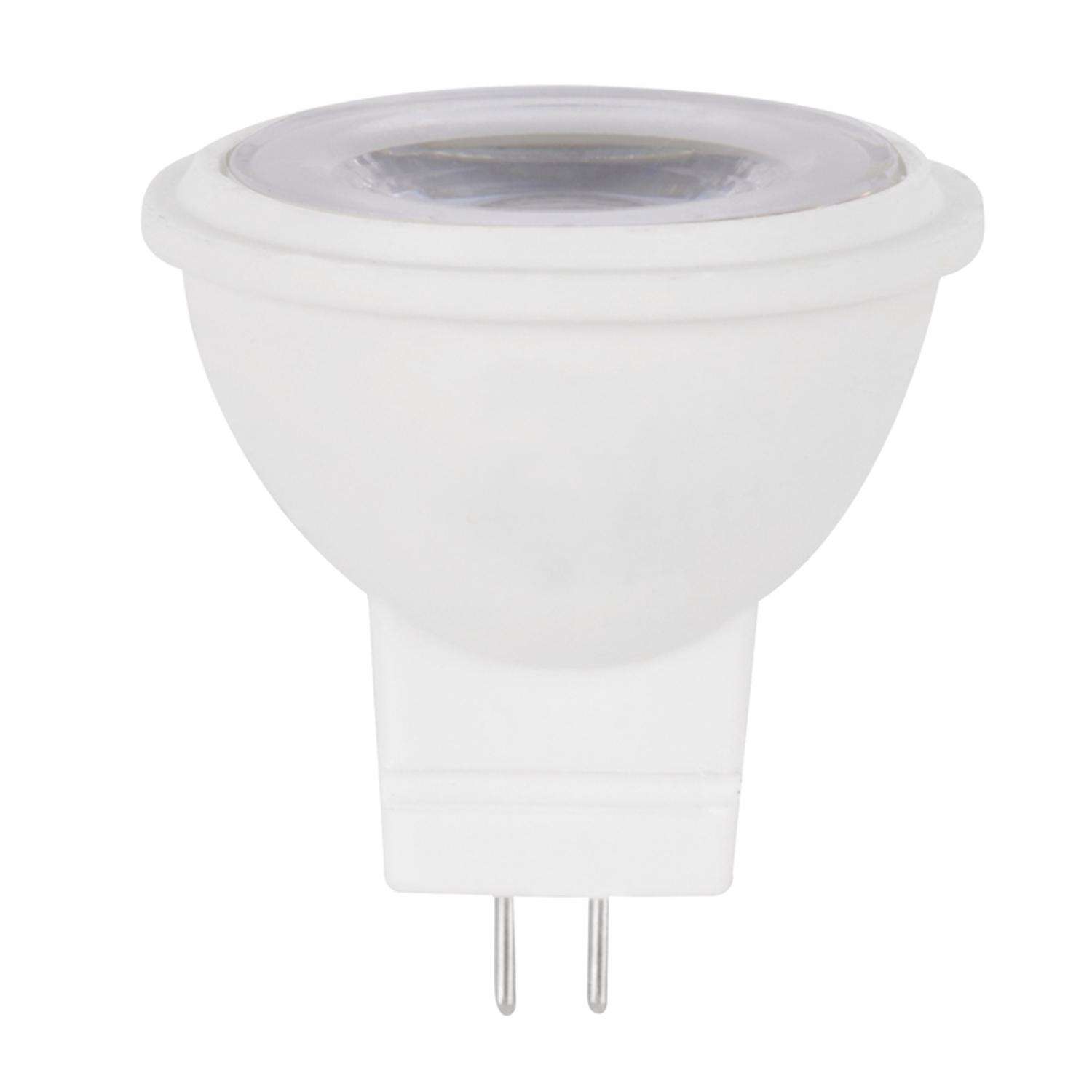 Feit Flashlight Bulb 12 V Bi-Pin Base - Ace Hardware