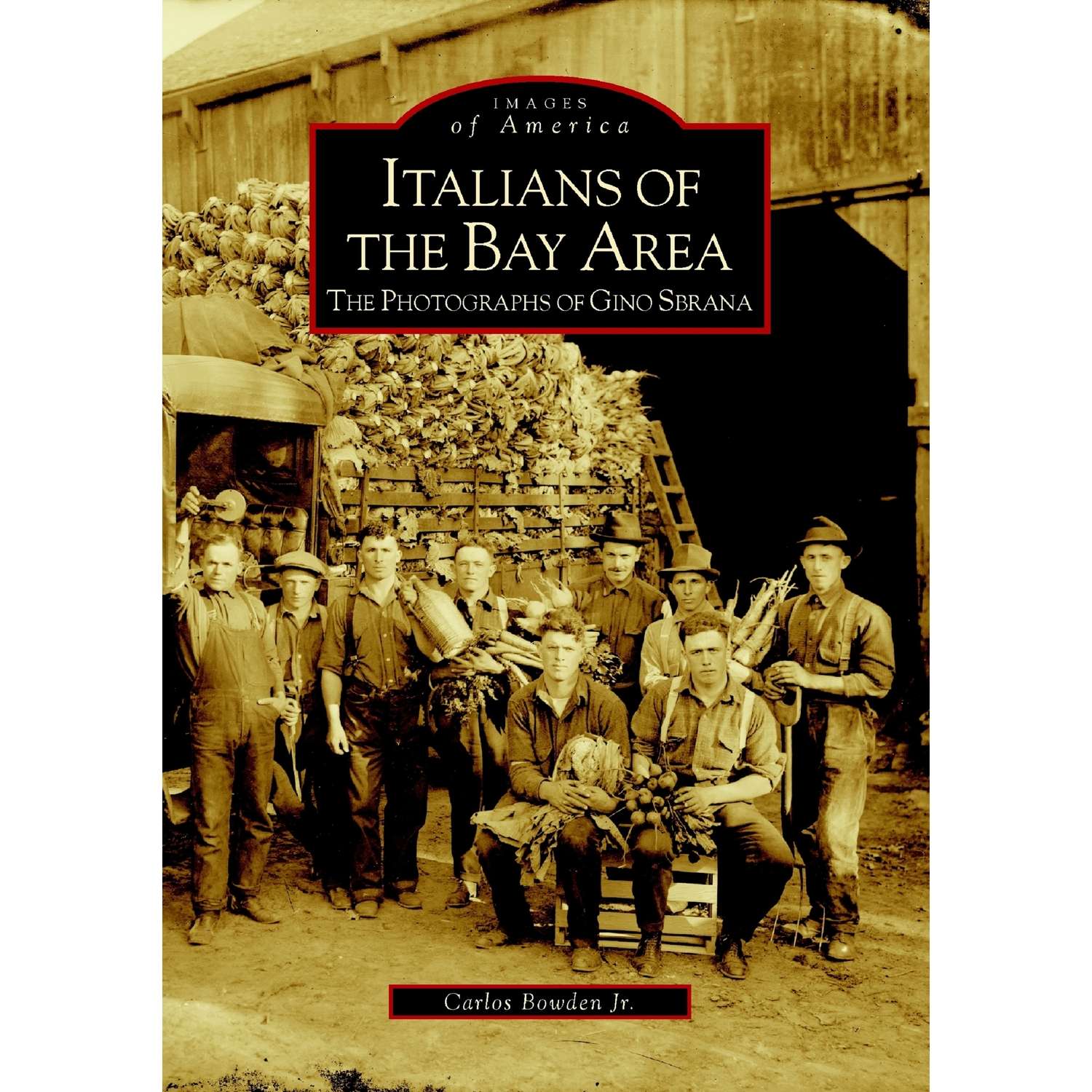 Arcadia Publishing Italians of the Bay Area History Book Mfr ...