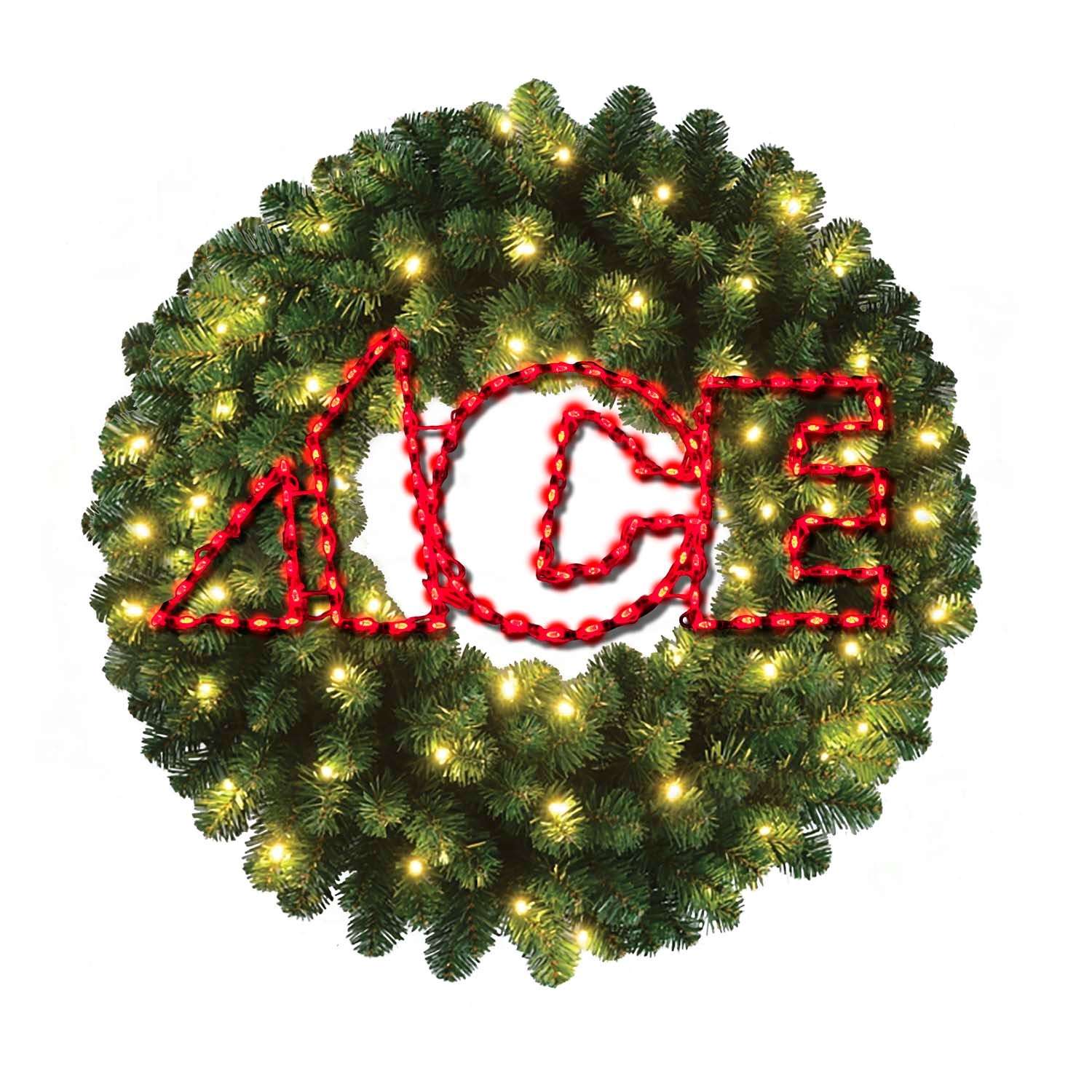 Holiday Bright Lights 60 in. D LED Prelit Warm White ACE Sign and ...