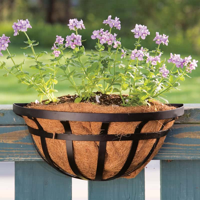 Panacea 16 in. W Steel Deck Rail Planter Black - Ace Hardware