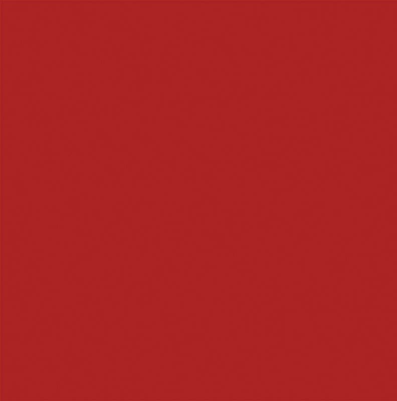 Beyond Paint Matte Poppy Water-Based All-In-One Paint Exterior and ...