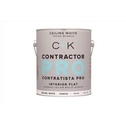 Ceiling Paint at Ace Hardware