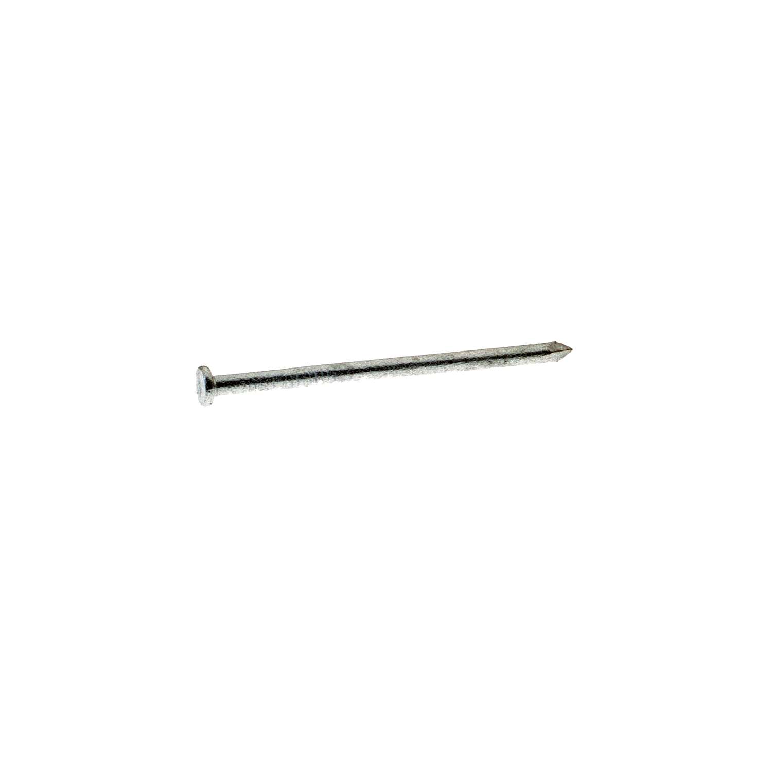 Grip-Rite 8D 2-1/2 in. Common Hot-Dipped Galvanized Steel Nail Flat ...