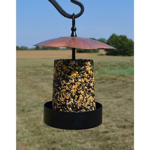 Songbird Essentials Songbird Essentials Songbird 0 Metal Seed/Suet Log ...