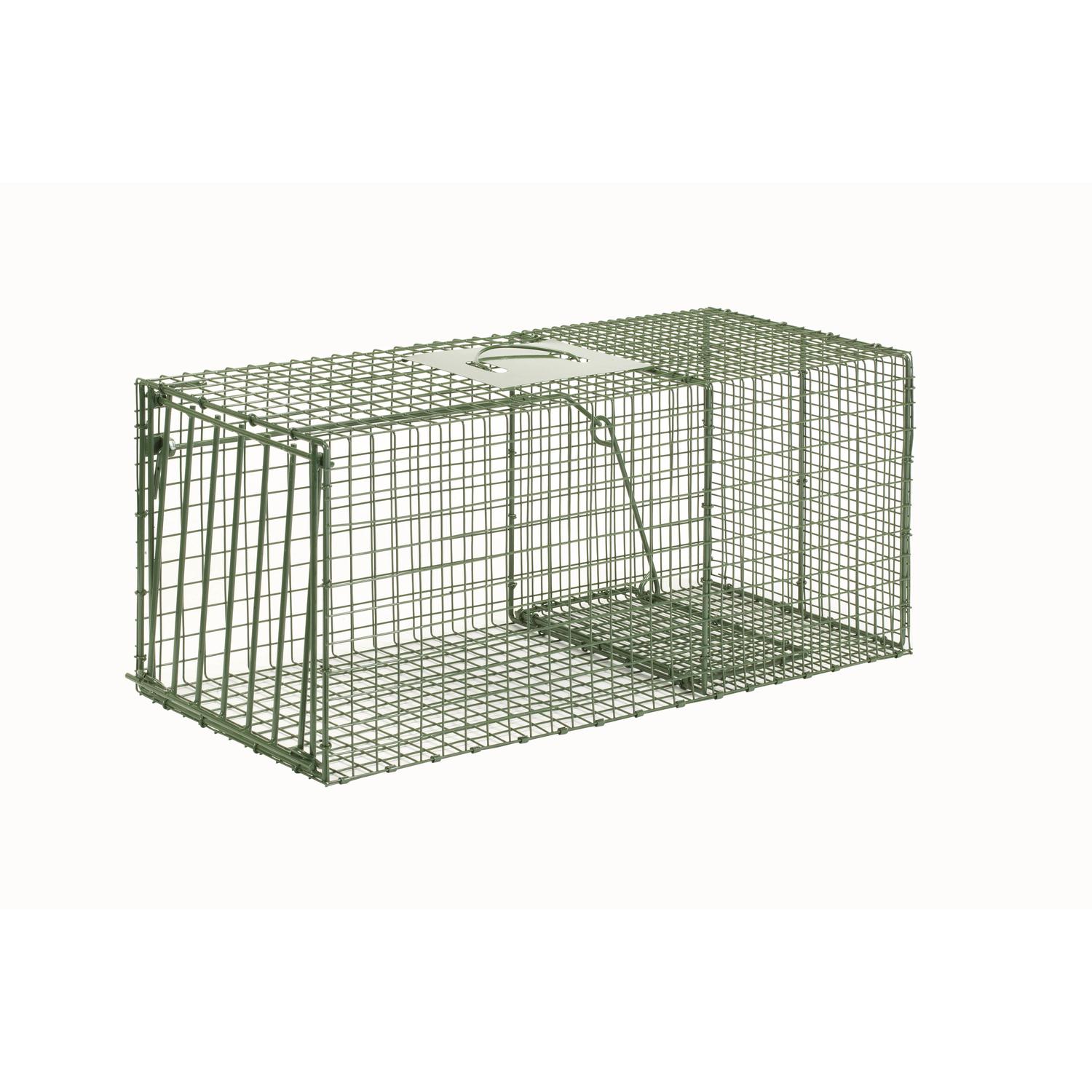 Duke Trap Large Live Catch Cage Trap For Raccoons 1 pk Mfr# 1112 - Ace ...
