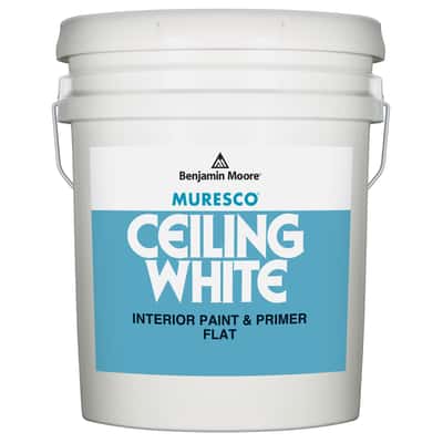 Benjamin Moore Muresco Flat White Ceiling Paint Interior 5 gal. - Ace ...