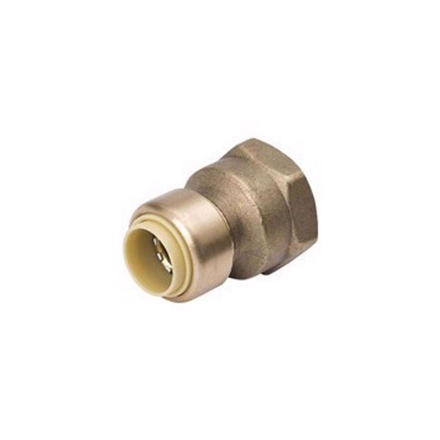 BK Products Proline Push to Connect 1/2 in. PTC X 3/4 in. D FPT Brass ...