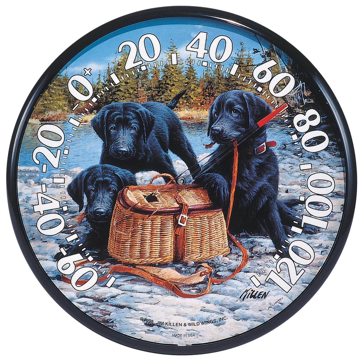 AcuRite Lab Puppies Dial Thermometer Plastic Multicolored 12.5 in ...