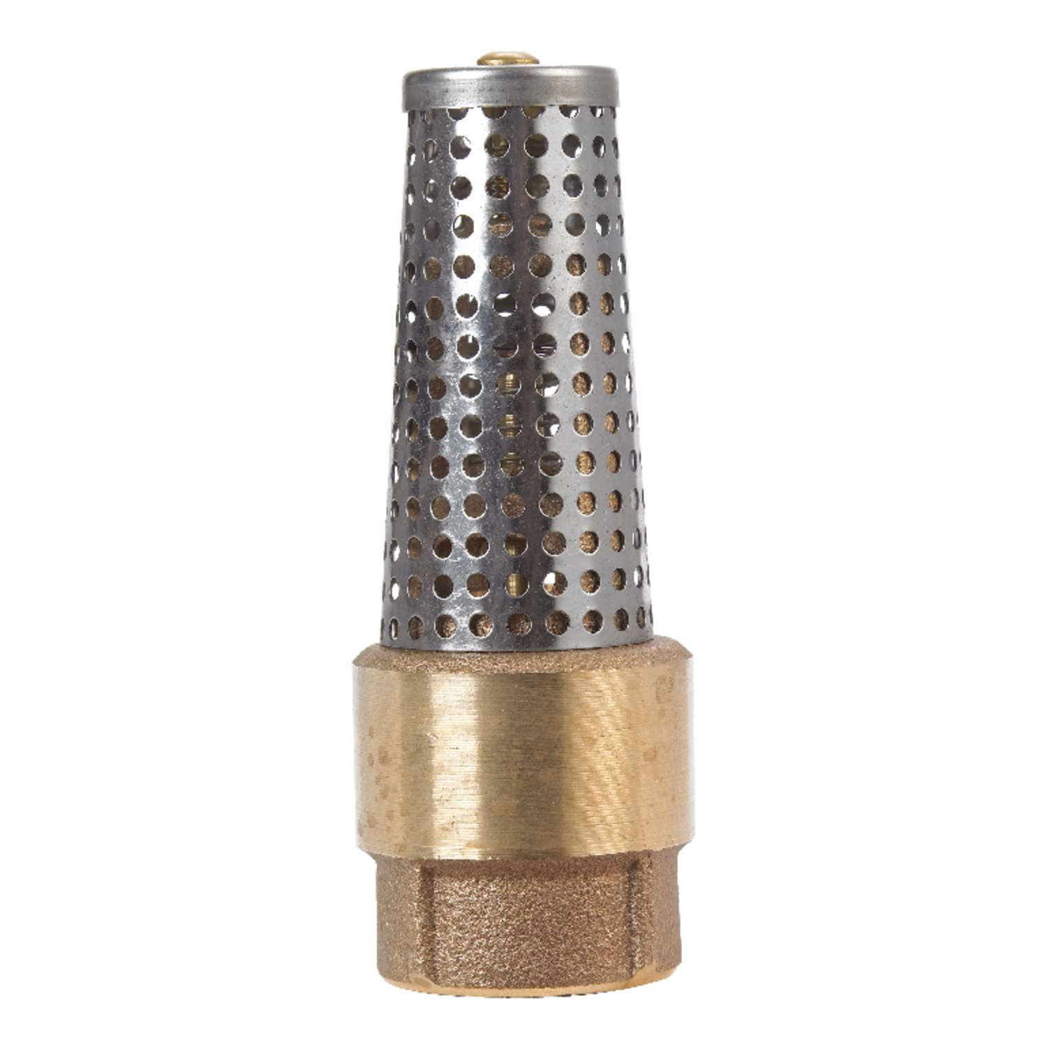 Campbell 1 in. Dia. x 1 in. Dia. Brass Spring Loaded Foot Valve - Ace ...
