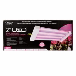 Grow Bulbs - Ace Hardware