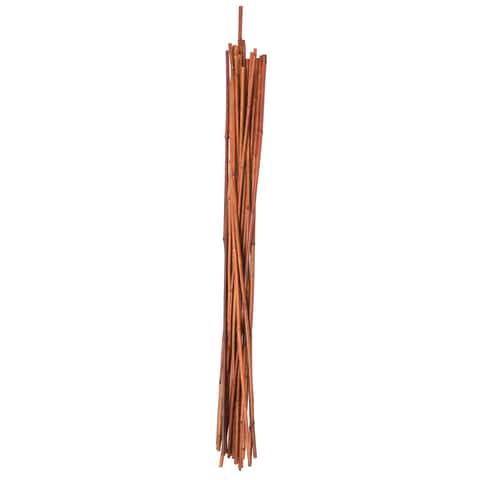Panacea 72 in. H X 1.5 in. W X 1.5 in. D Brown Bamboo Plant Stake - Ace ...
