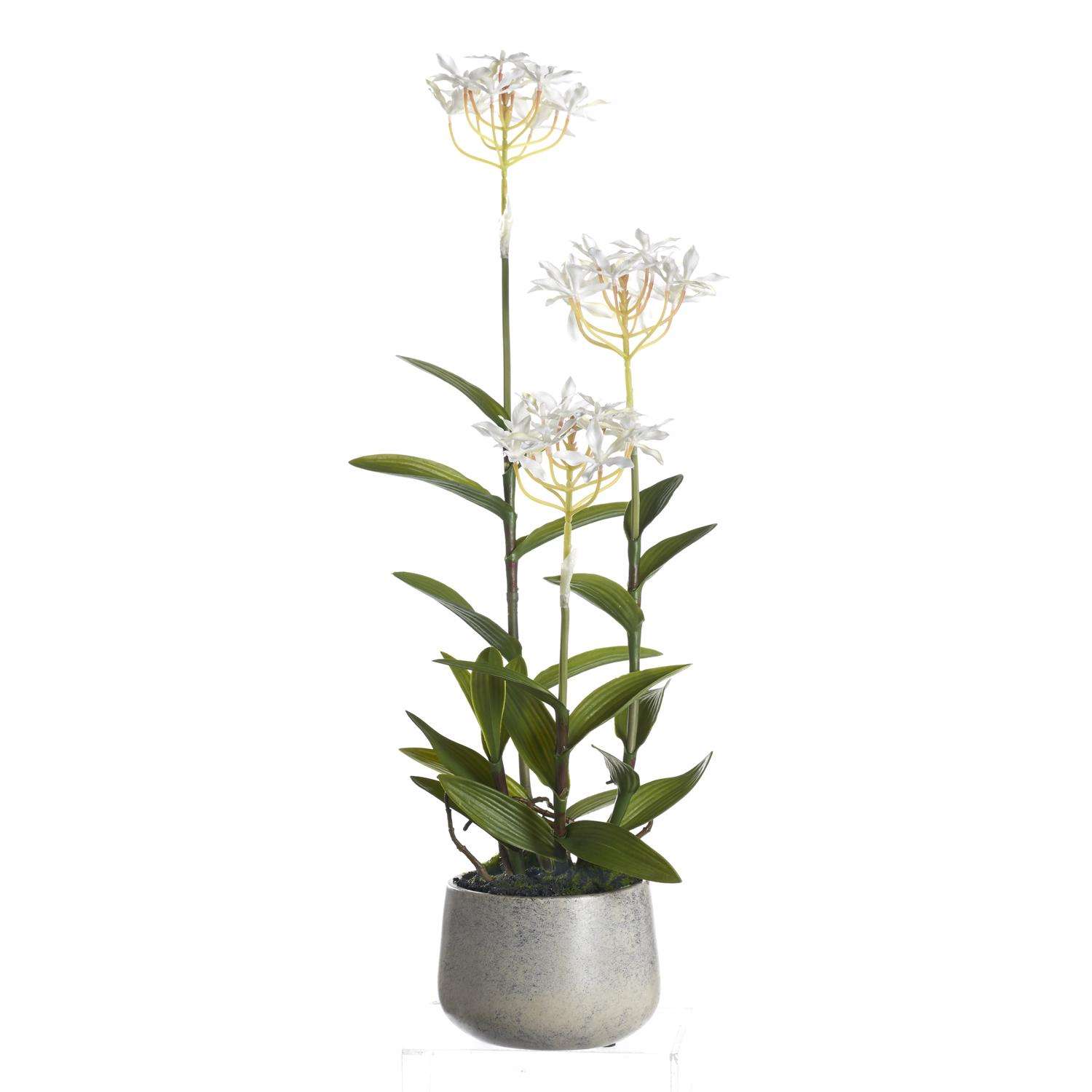 DW Silks 24 in. H X 8 in. W X 8 in. L Polyester White Epidendrum ...