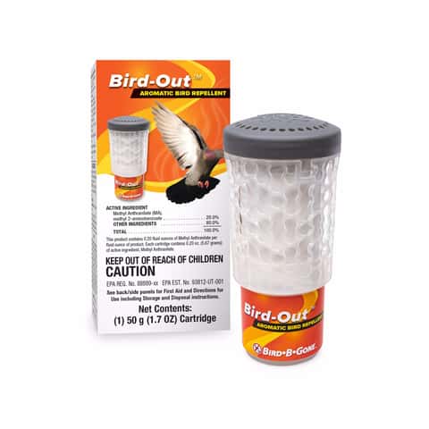 Bird-B-Gone Bird-Out Bird Deterrent For Assorted Species 1 pk Mfr ...