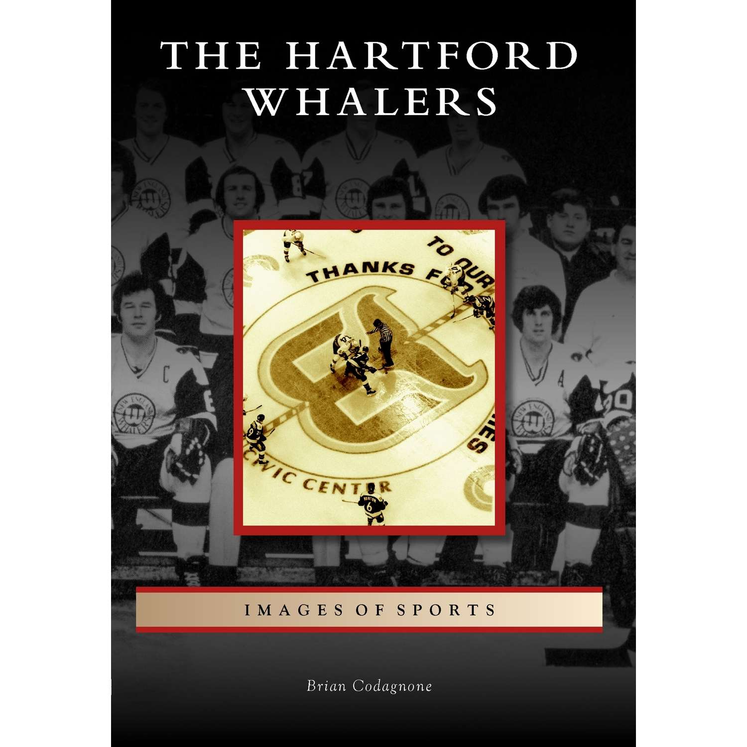 Arcadia Publishing The Hartford Whalers History Book - Ace Hardware