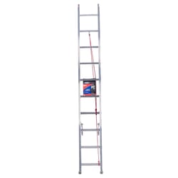 Ladders: Foldable & Wall Ladders at Ace Hardware