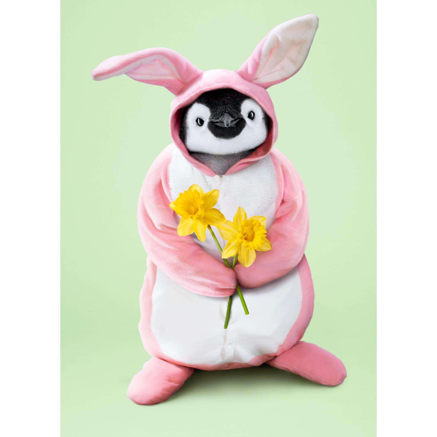 Avanti Press Seasonal Penguin Bunny Easter Card Paper 2 pc Mfr# 703678 ...