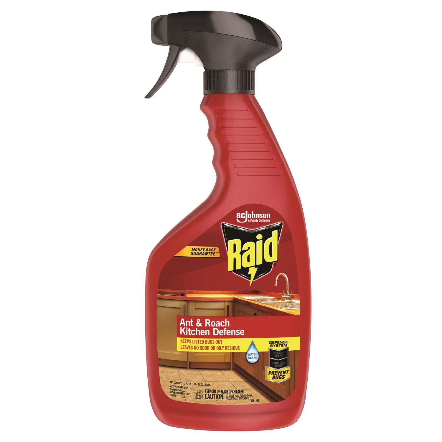 Raid Kitchen Defense Ant and Roach Killer Spray 22 oz - Ace Hardware