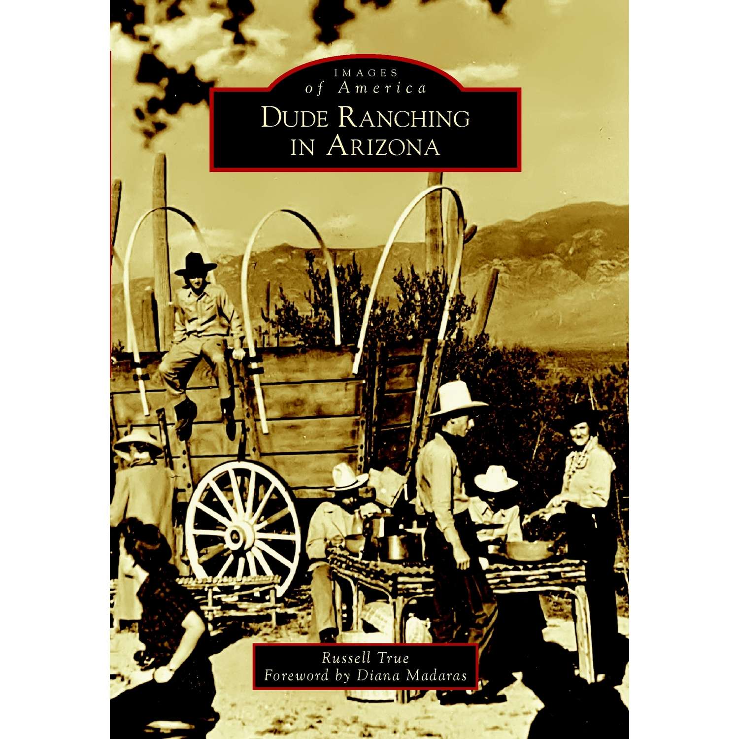 Arcadia Publishing Dude Ranching in Arizona History Book - Ace Hardware