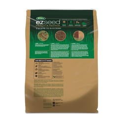 Scotts Grass Seed - Ace Hardware