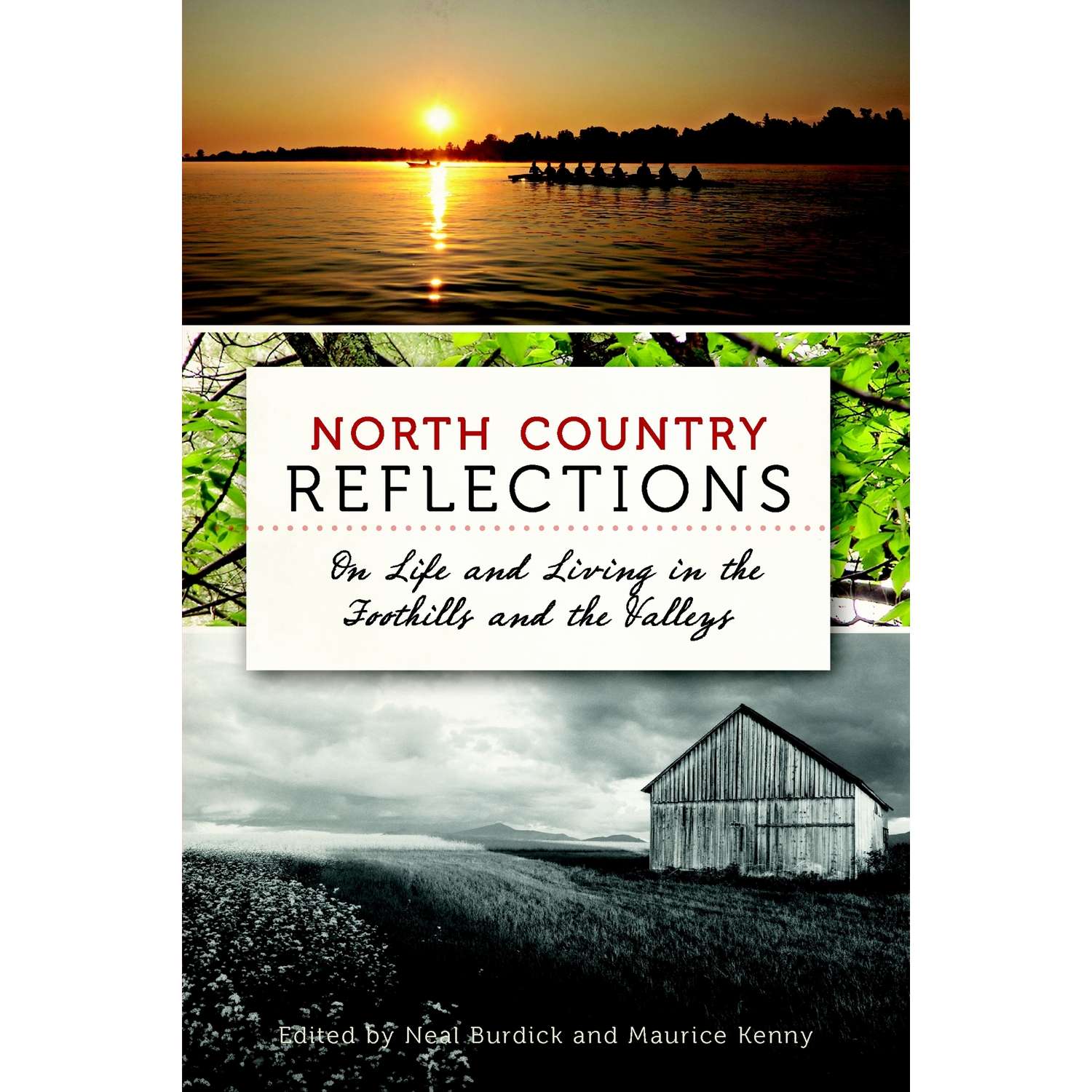 Arcadia Publishing North Country Reflections History Book - Ace Hardware