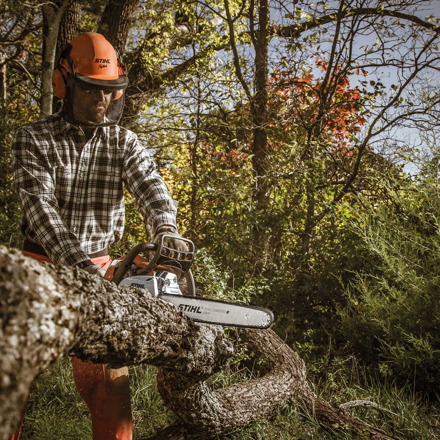 STIHL 16 in. Gas Powered Chainsaw MS 181 C-BE - Ace Hardware